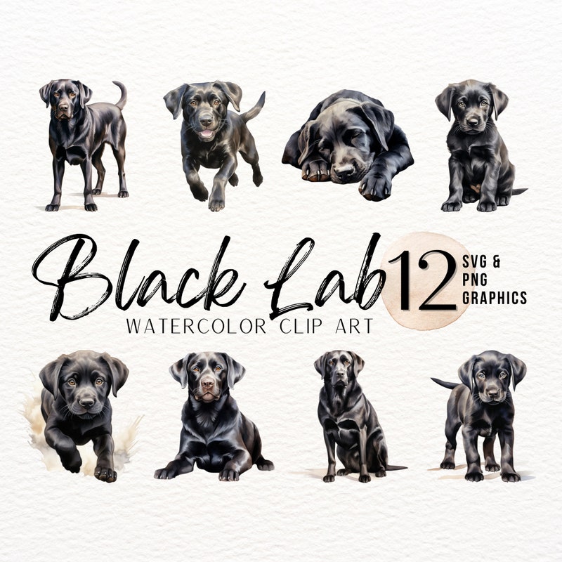Black Lab Svg - Etsy