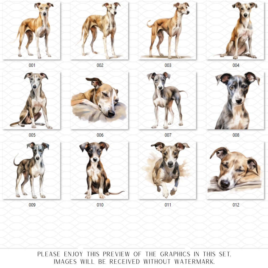 Whippet Watercolor Clipart | Dog SVG | Puppy PNG | Mans Best Friend ...