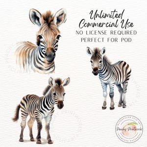 Watercolor Zebra Clip Art Baby Zoo Animal Graphics Foal Cute Baby Zebra ...