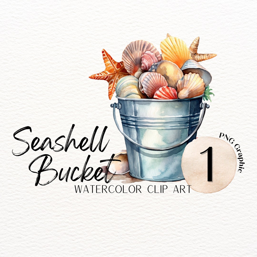 SEASHELL PAIL : Single Graphic, Clip Art, Digital Graphics, Graphics ...