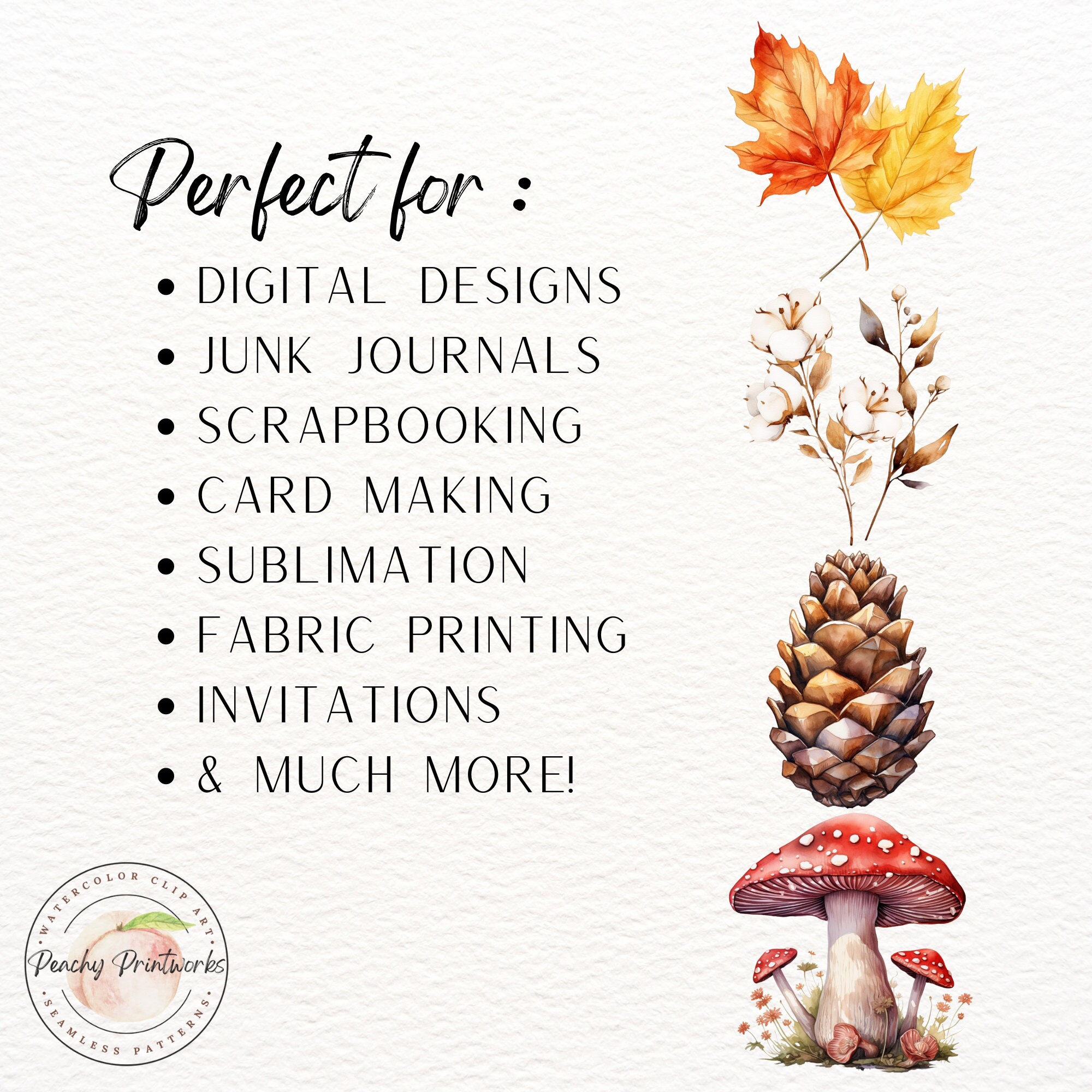 Fall Foliage Watercolor Clipart Bundle | Cotton PNG | Pinecone SVG ...