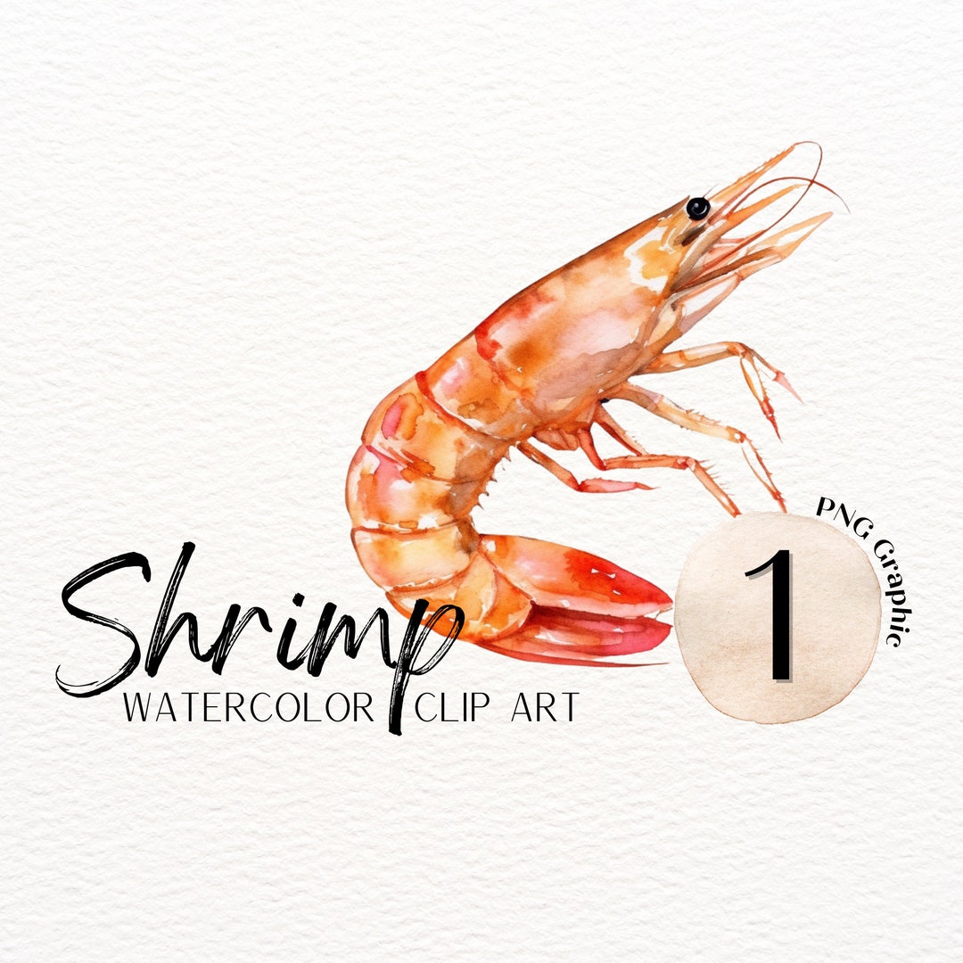 SHRIMP : Single Graphic, Clip Art, Digital Graphics, Graphics ...