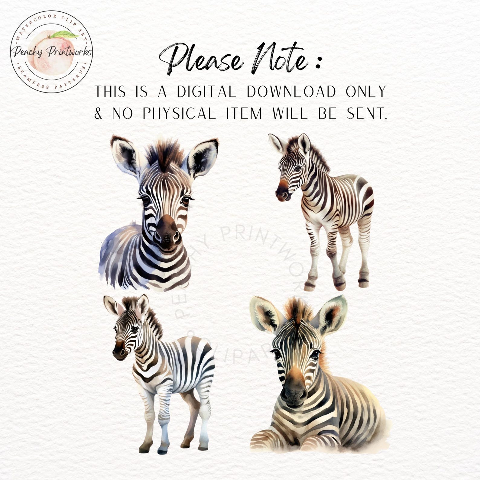 Watercolor Zebra Clip Art Baby Zoo Animal Graphics Foal Cute Baby Zebra ...