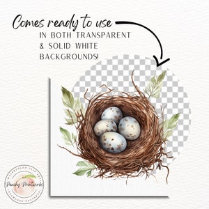 Bird Nest Watercolor Clipart | Spring Time SVG and PNG Graphics | Baby ...