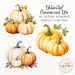 Neutral Fall Pumpkin Watercolor Clipart Bundle | Cream Pumpkin PNG ...
