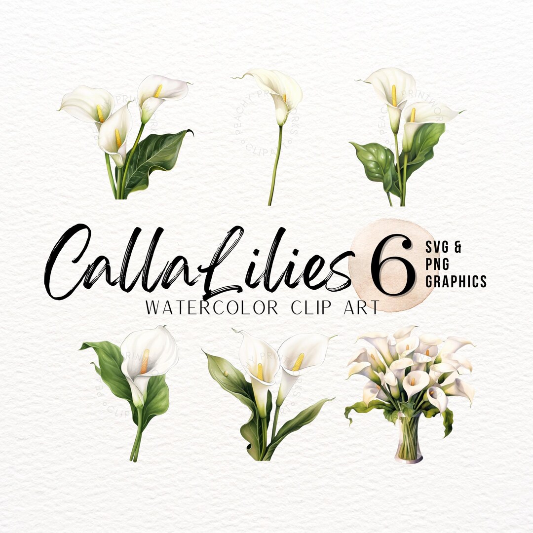 Calla Lilies Watercolor Clipart Bundle | Floral PNG Graphic ...