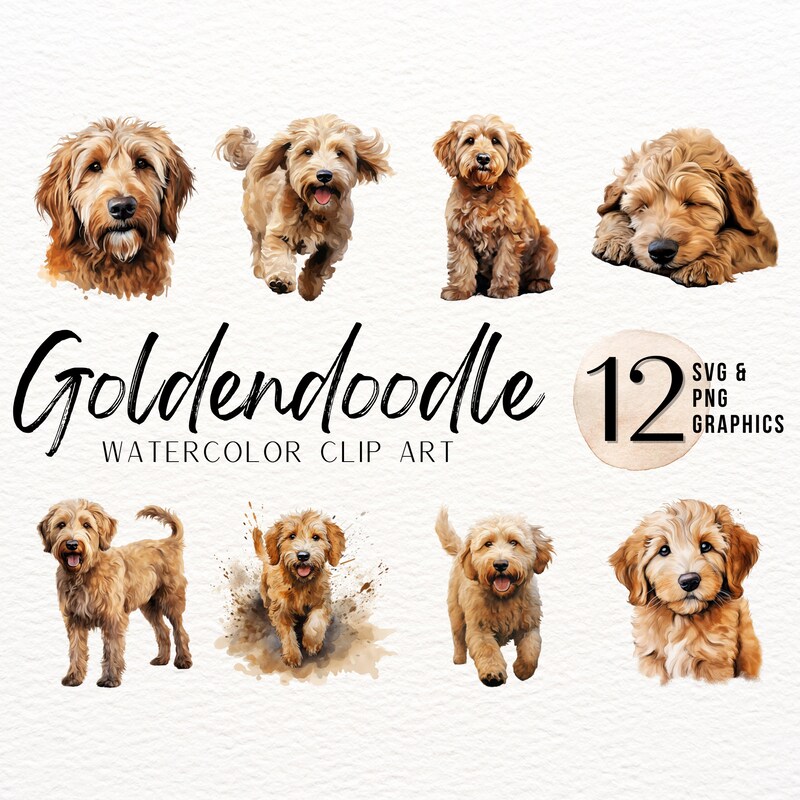 Goldendoodle Svg - Etsy
