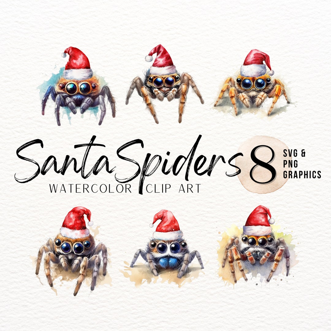 Spider Watercolor Clipart Bundle | Cute Bug PNG | Christmas Halloween ...