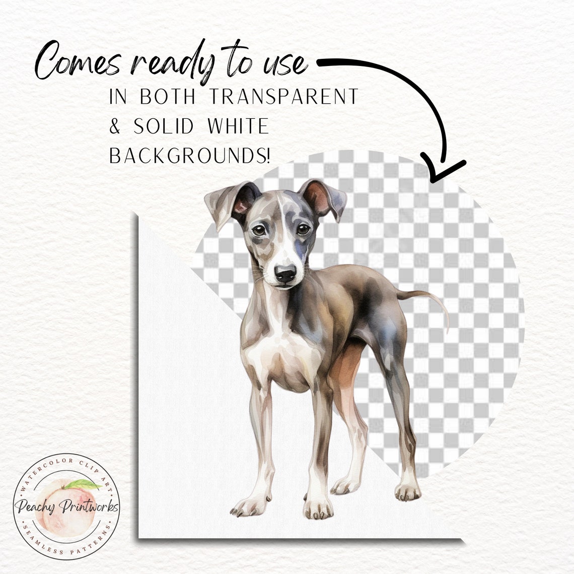Whippet Watercolor Clipart | Dog SVG | Puppy PNG | Mans Best Friend ...