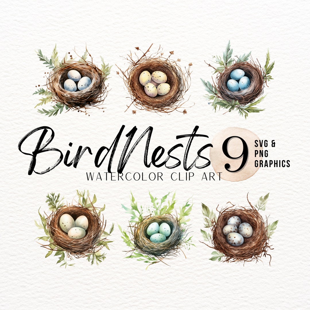 Bird Nest Watercolor Clipart | Spring Time SVG and PNG Graphics | Baby ...