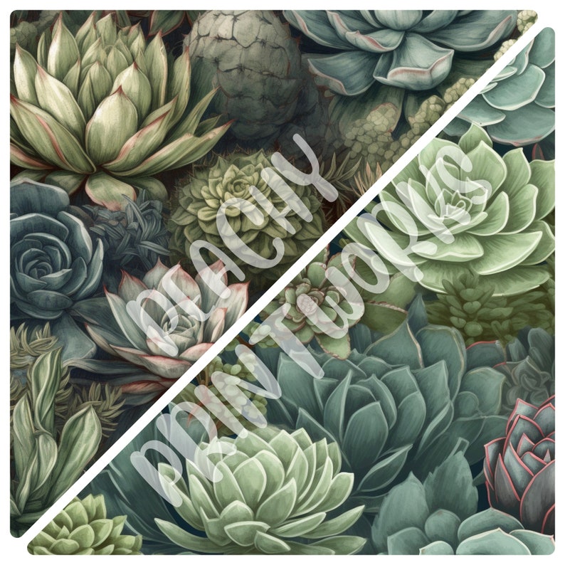 SUCCULENTS : Printable Pattern Seamless Design Background - Etsy