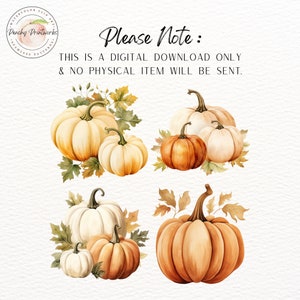Neutral Fall Pumpkin Watercolor Clipart Bundle | Cream Pumpkin PNG ...