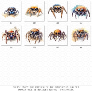 Spider Watercolor Clipart Bundle | Cute Bug PNG | Happy Halloween SVG ...