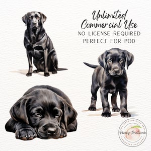 Black Lab Watercolor Clipart | Dog SVG | Puppy PNG | Mans Best Friend ...