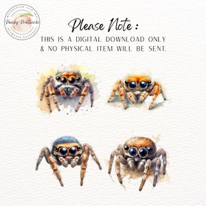 Spider Watercolor Clipart Bundle | Cute Bug PNG | Happy Halloween SVG ...