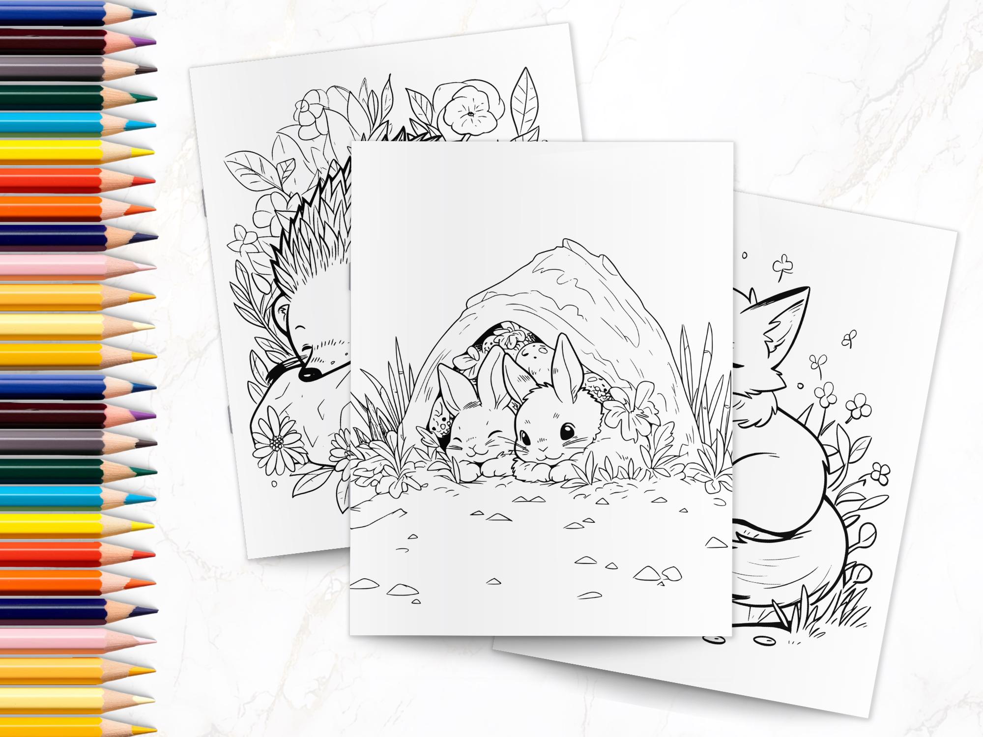 Whimsy in the Woods Coloring Pack, Cute Forest Creatures Printable ...