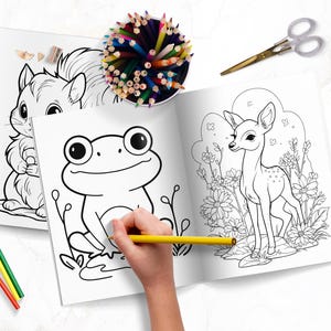 Whimsy in the Woods Coloring Pack, Cute Forest Creatures Printable ...