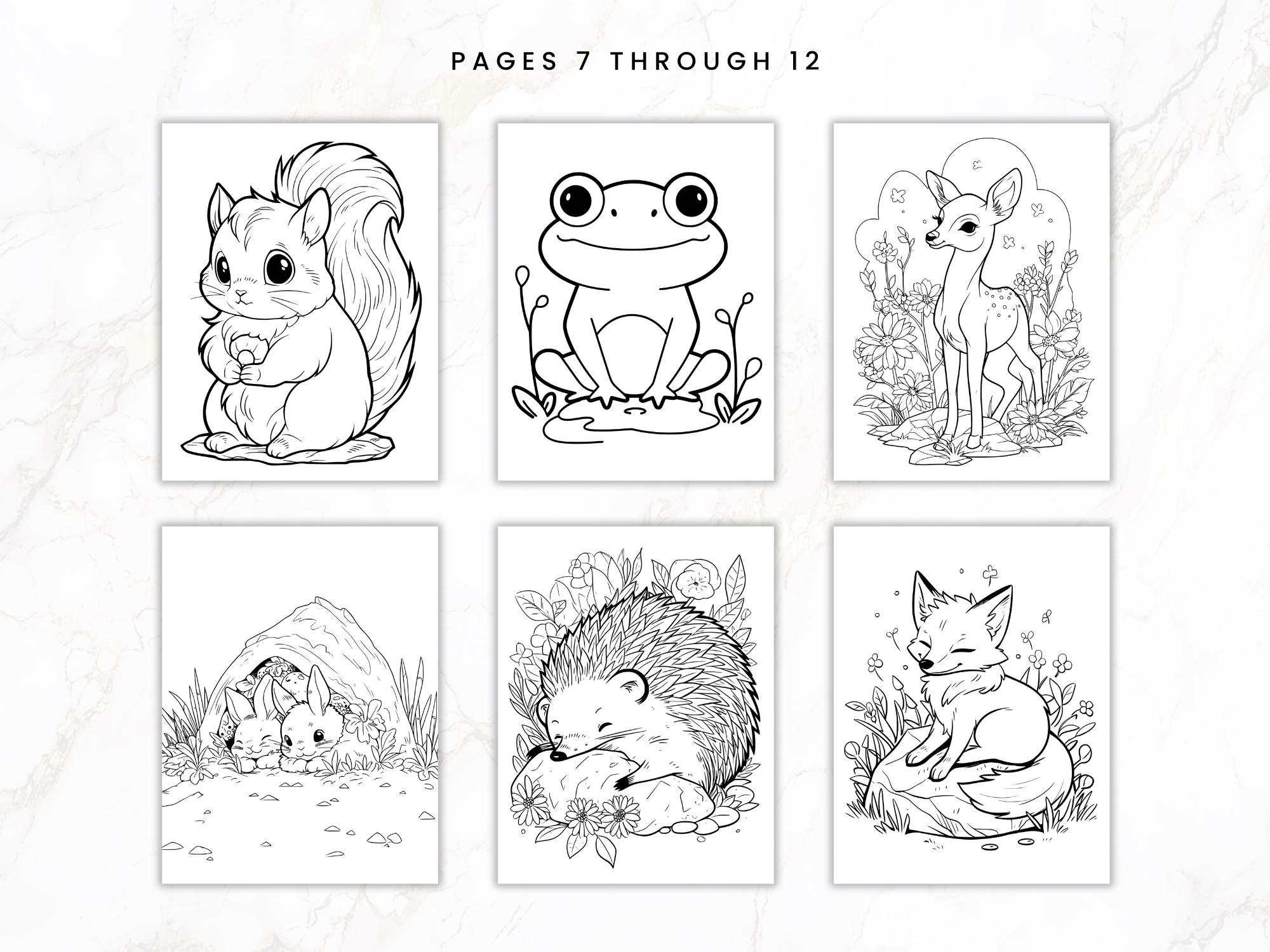 Whimsy in the Woods Coloring Pack, Cute Forest Creatures Printable ...