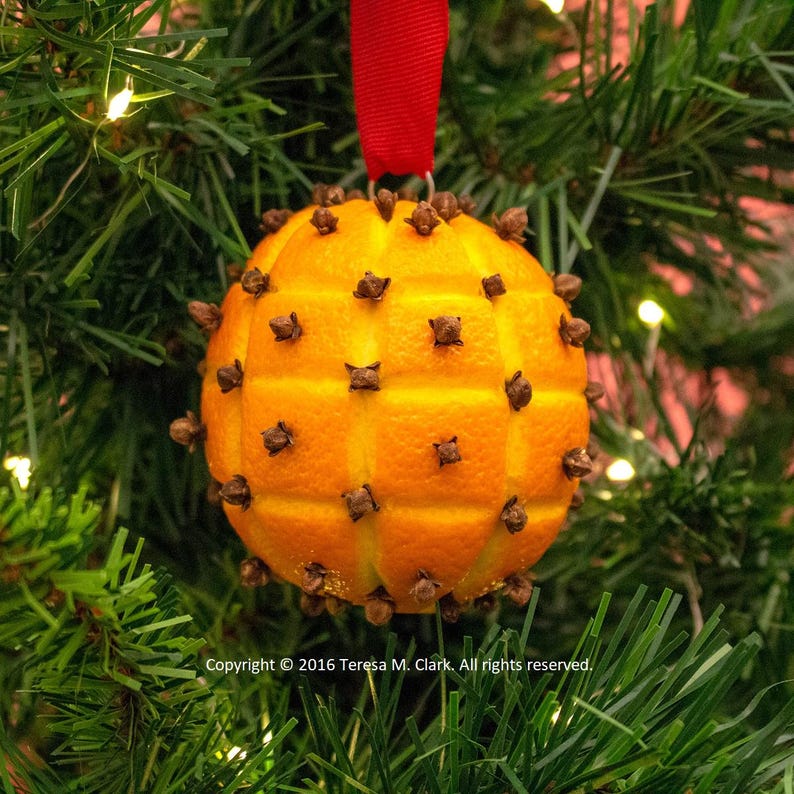 Orange-clove Pomander Ball Ornament Kit - Etsy