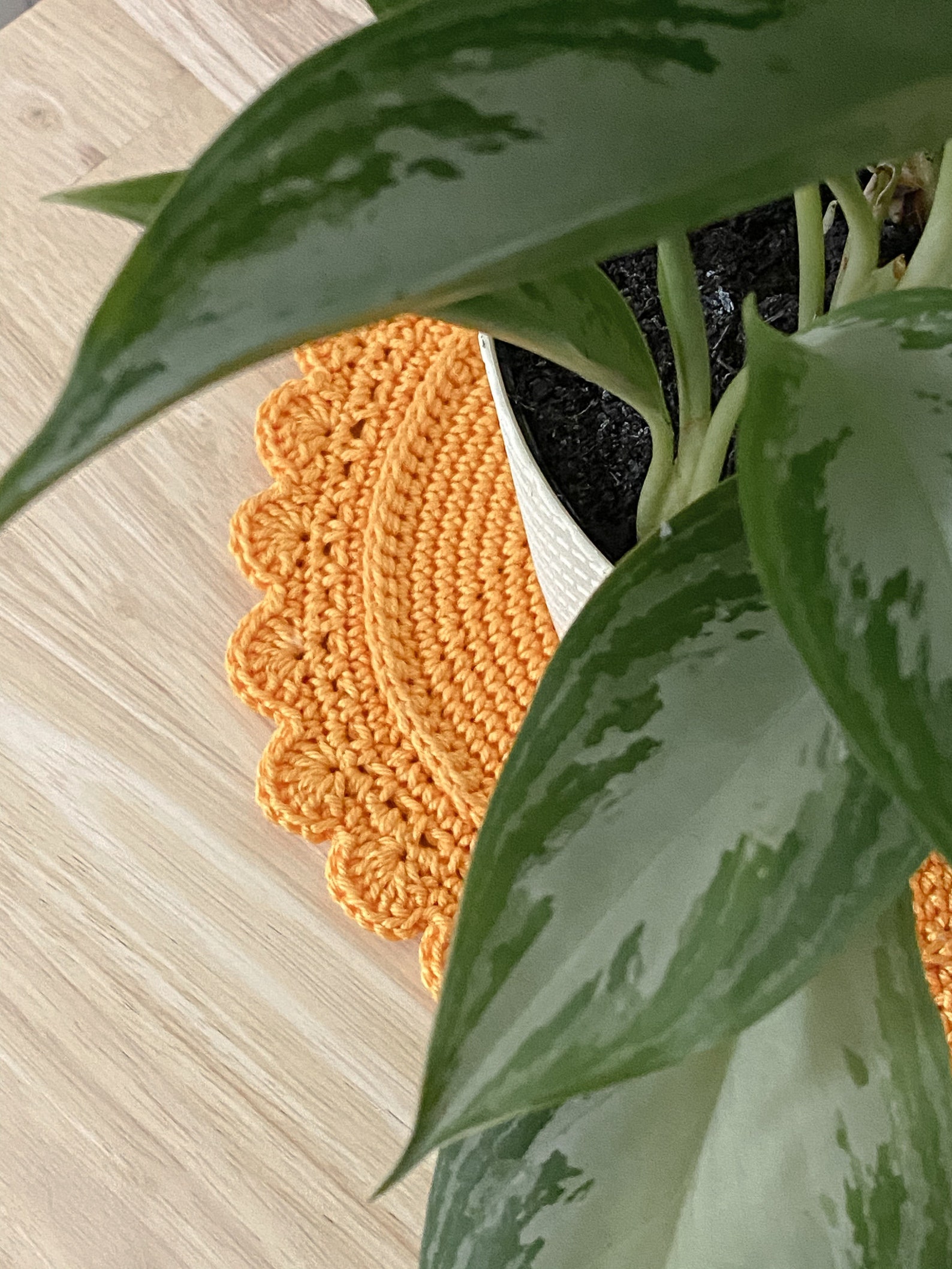 Crochet Coaster Pattern for Drinks and Plants - Etsy
