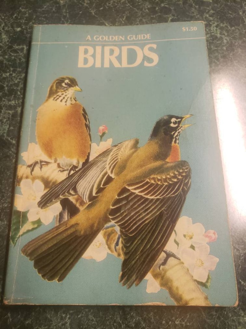Vintage A Golden Guide Birds 1956 Paperback 129 Full Color Illustration ...