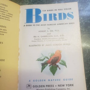 Vintage A Golden Guide Birds 1956 Paperback 129 Full Color Illustration ...