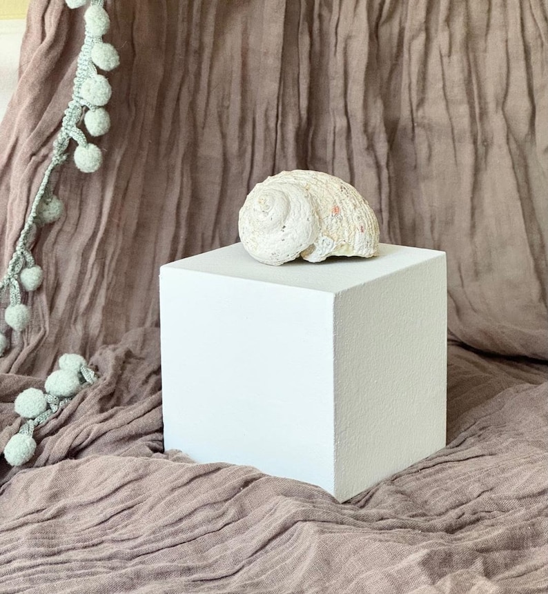 White Wood 3 Inch Square Riser, White Plant Riser, White Wood Block ...