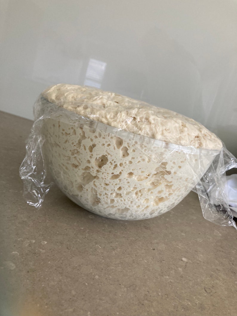 Aunty Matariki (rewena Bug Starter) Value Pack (get Started for ...