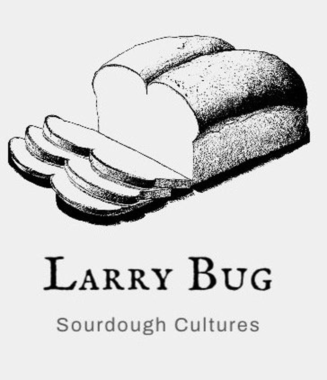 Aunty Matariki (rewena Bug Starter) Value Pack (get Started for ...