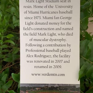 Repurposed University of Miami, Mark Light Field Seat in Resin Earrings ...