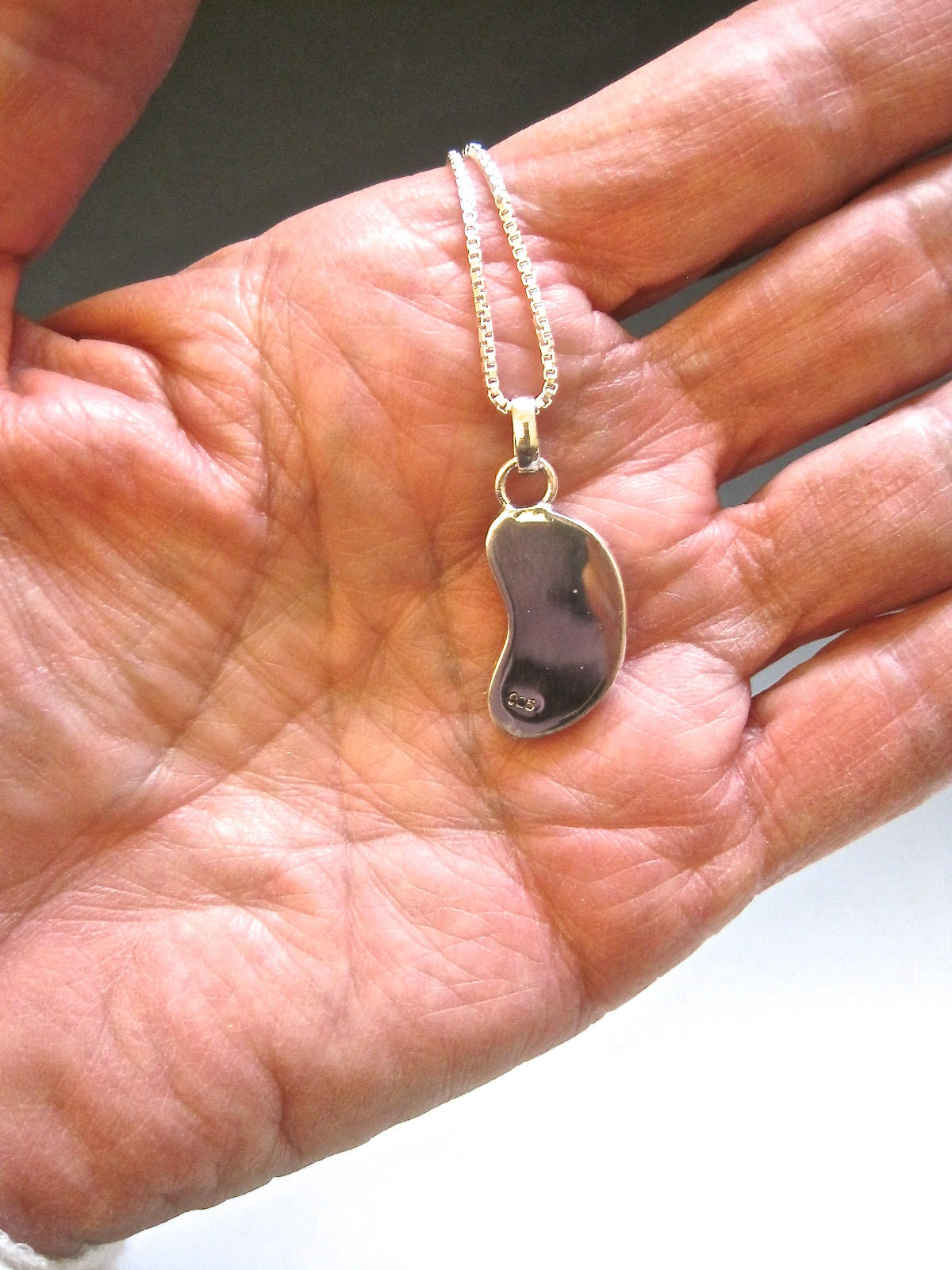 Kidney Transplant Gift: Exclusive Kidney Shaped Sterling Silver Pendant ...