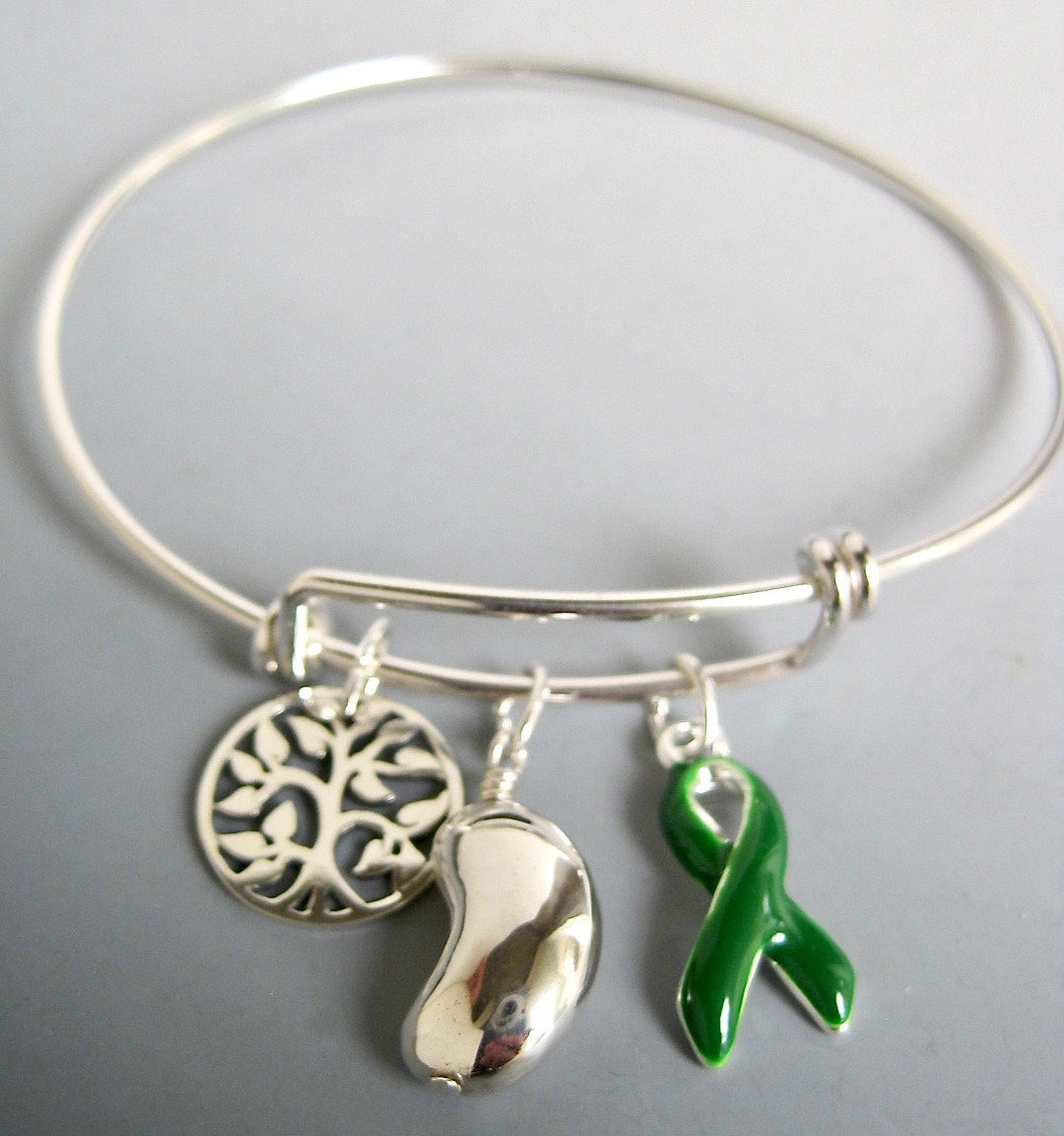 LARGE Sterling Silver Bangle Bracelet-kidney Transplant Charms--tree of ...