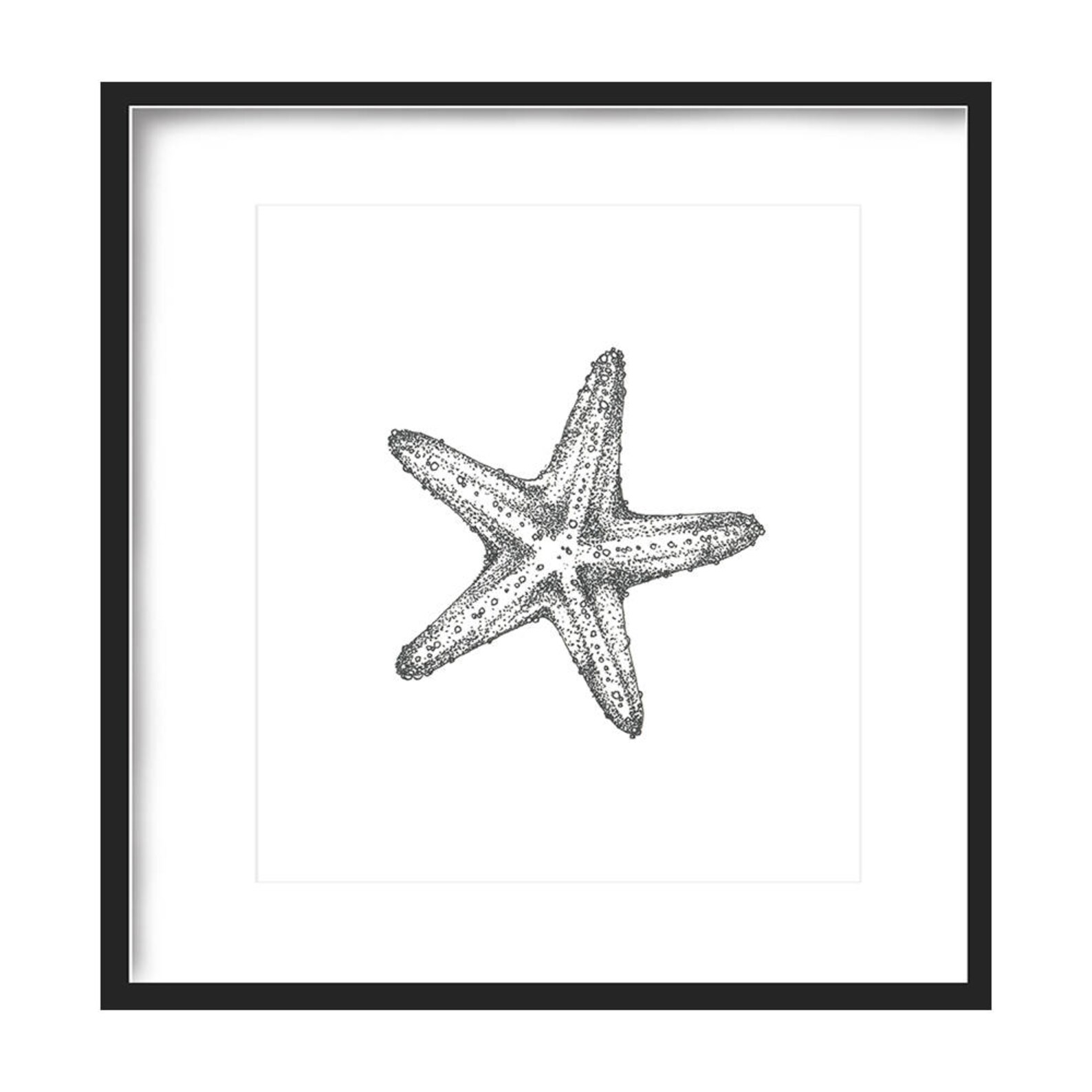 Starfish Print - Etsy