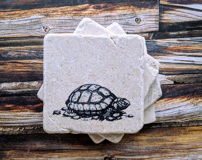 Turtle Stone Coasters Tortoise Coasters Turtle Gift Turtle - Etsy