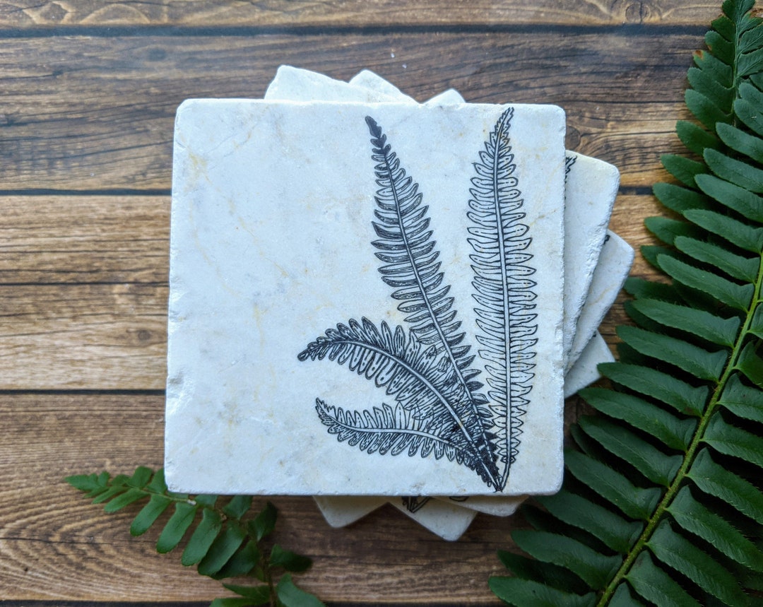 Fern Stone Coasters Fern Home Decor House Plant Gift Plant - Etsy