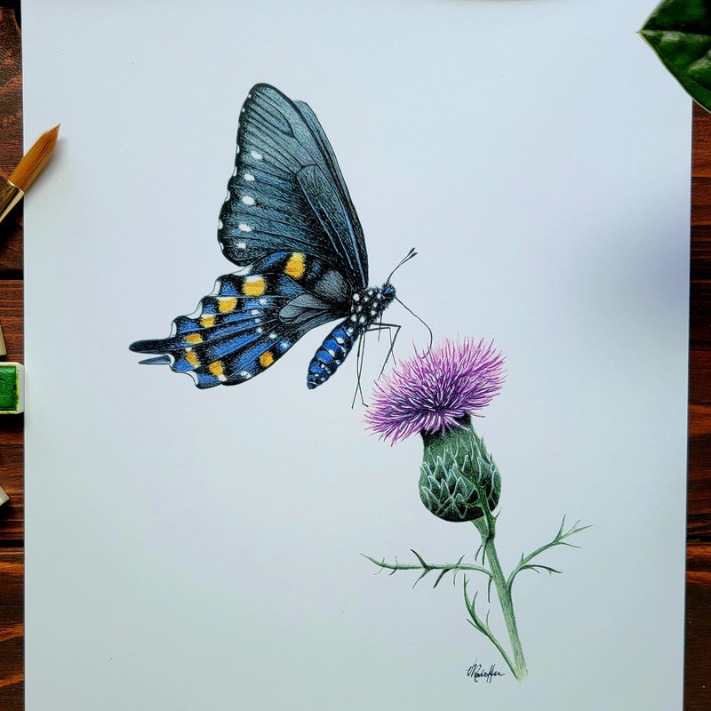 Swallowtail Plant - Etsy