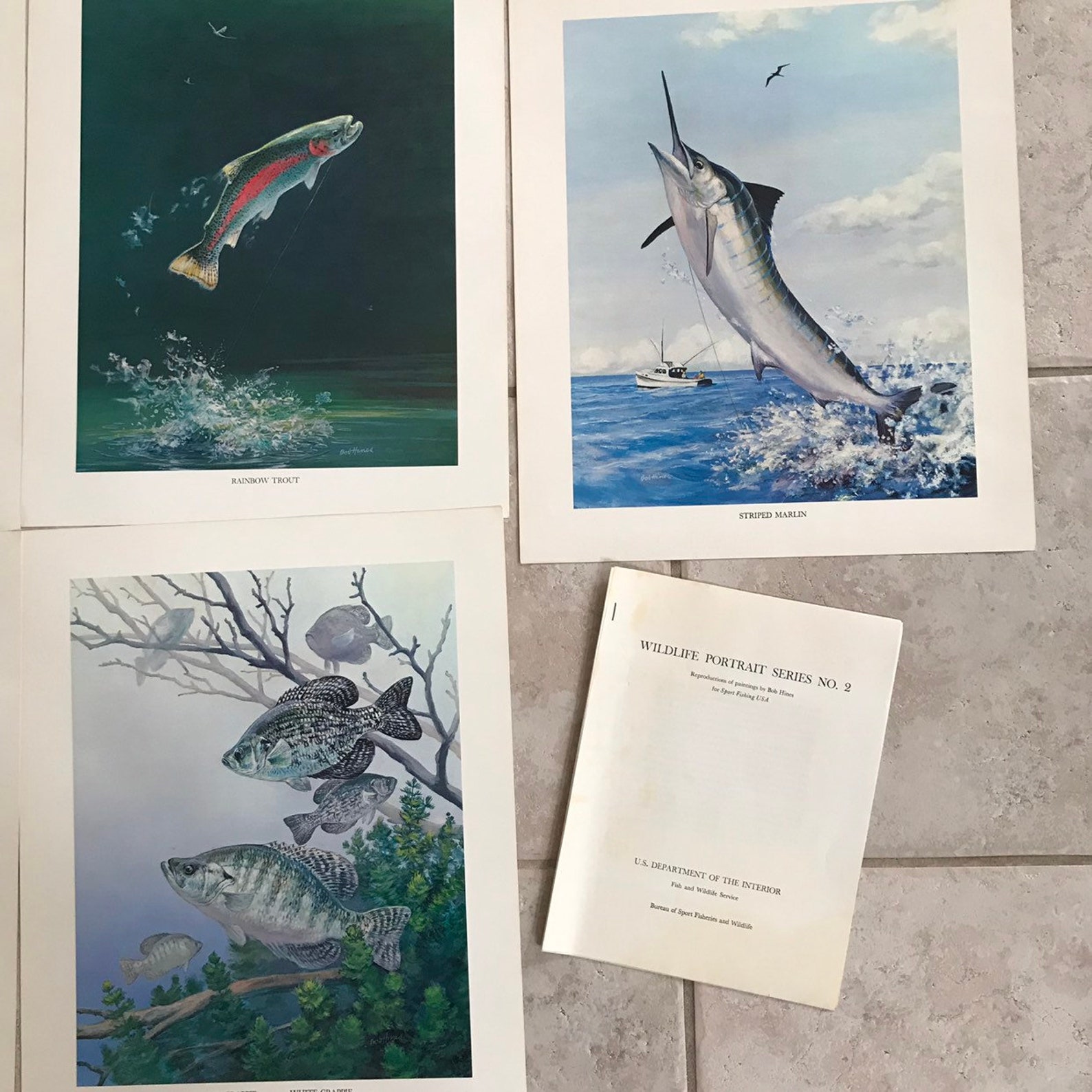 Fish Gamefish Prints by Bob Hines Fishing Artwork - Etsy