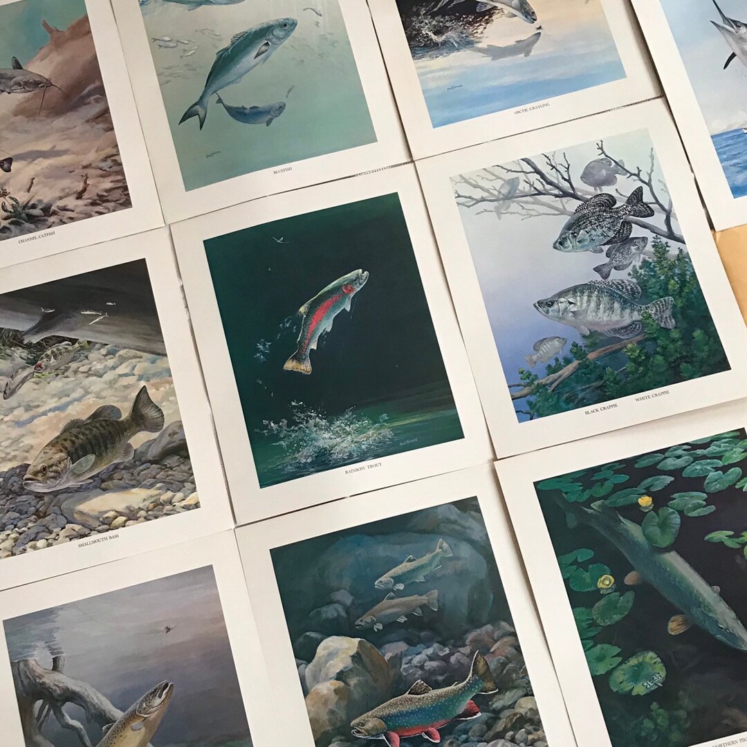 Fish Gamefish Prints by Bob Hines Fishing Artwork - Etsy