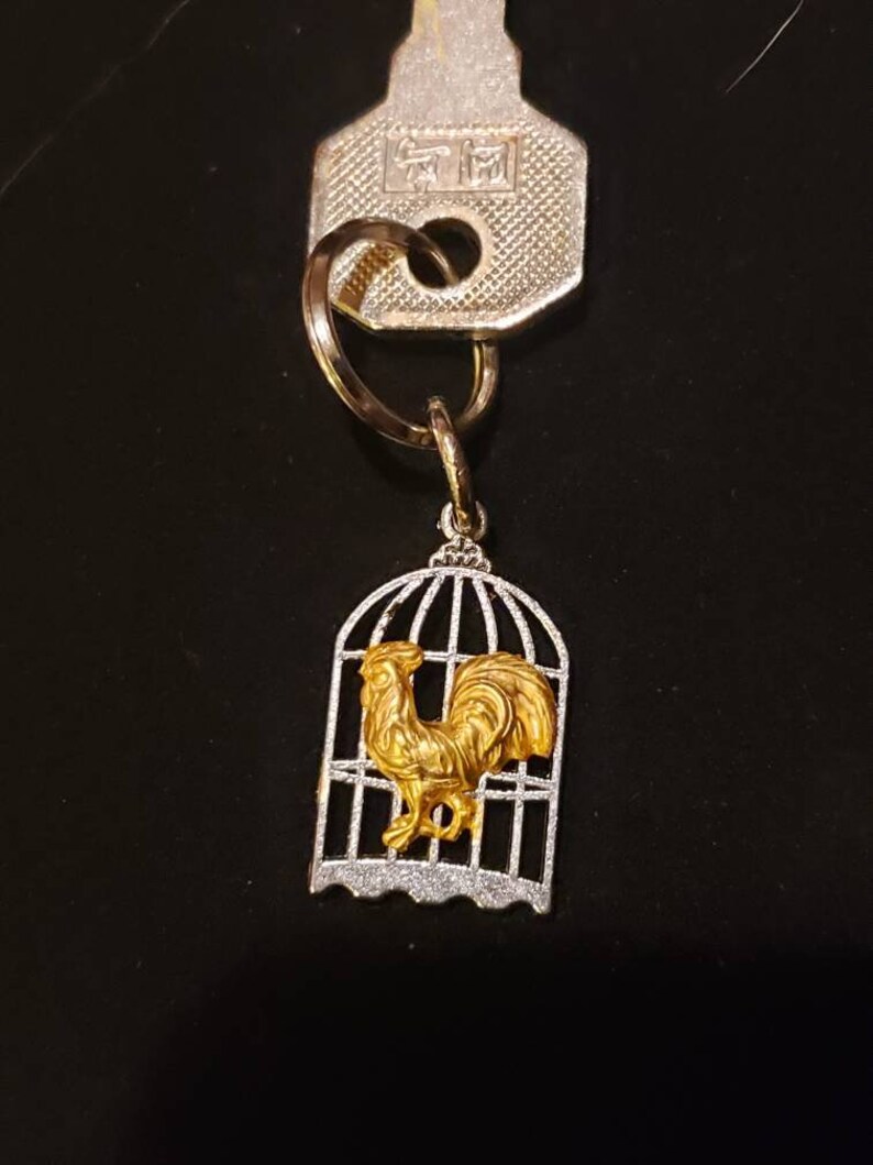 KR03 Caged Cock KEYRING Chastity Femdomcuckoldmistress Key - Etsy