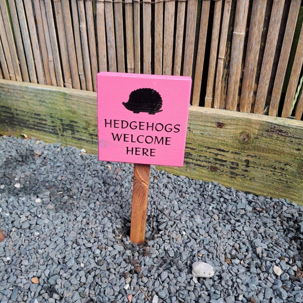 Wooden Hedgehog - Etsy UK