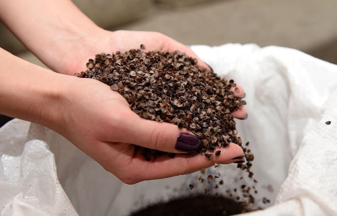 Organic Buckwheat Hulls 400g: Vegan Filling for Toys, Cushions (0.88lb ...