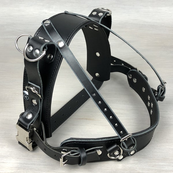 Working Dog Gear - Etsy