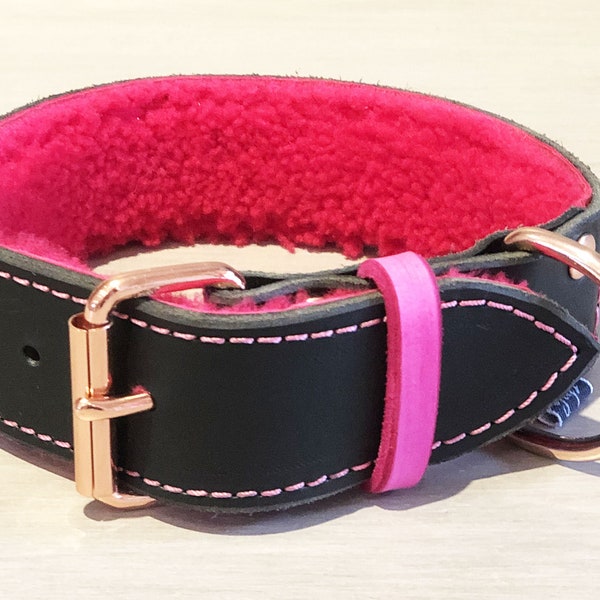 Hot Pink Dog Collar - Etsy