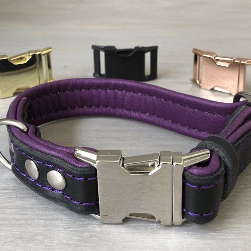 Padded Leather Quick Release Dog Collar in Papaya and Teal - Etsy