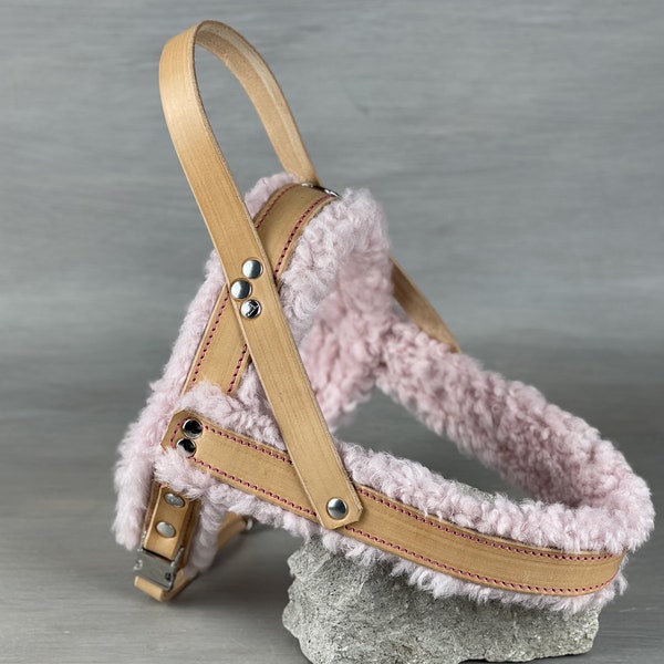 Harness - Etsy