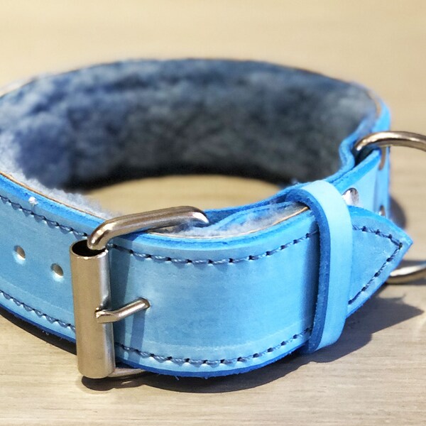 Turquoise Dog Collar - Etsy