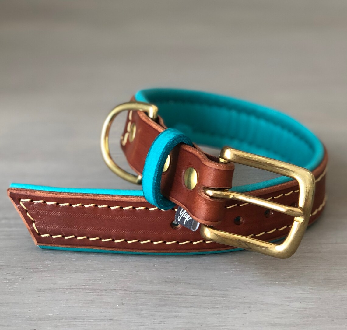Maroon Leather Dog Collar Padded With Soft Teal Leather Solid - Etsy