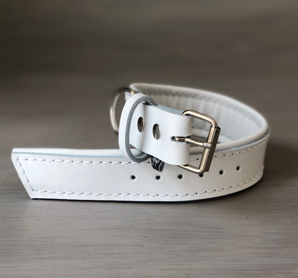 White Leather Dog Collar Padded With Soft Leather White Loop - Etsy