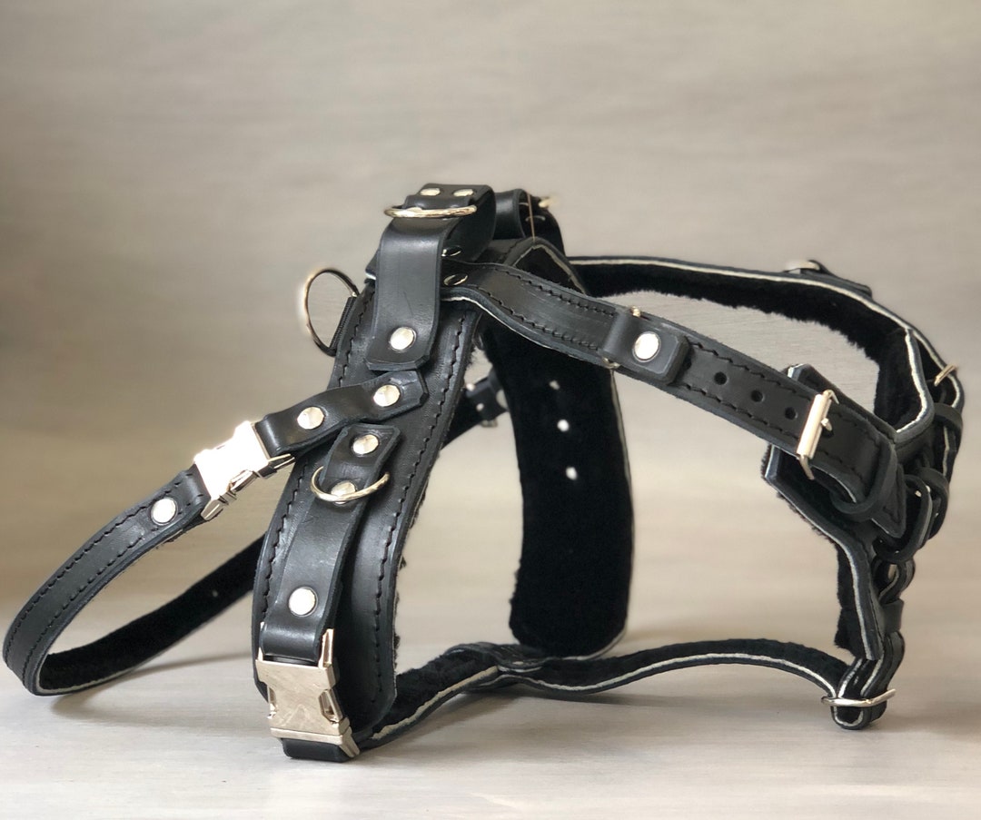 Y Front Leather Dog Harness With Extra Belly Strap and Handle ...