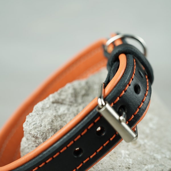 Orange Dog Collar - Etsy
